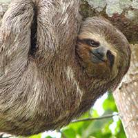 Wildlife Volunteer Projects and Tours | The Great Projects